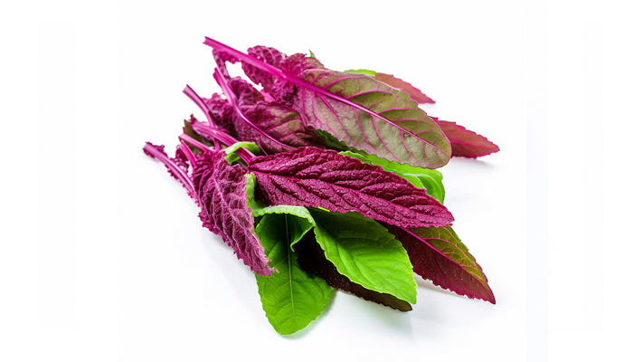 Ingredients – Ojas Store